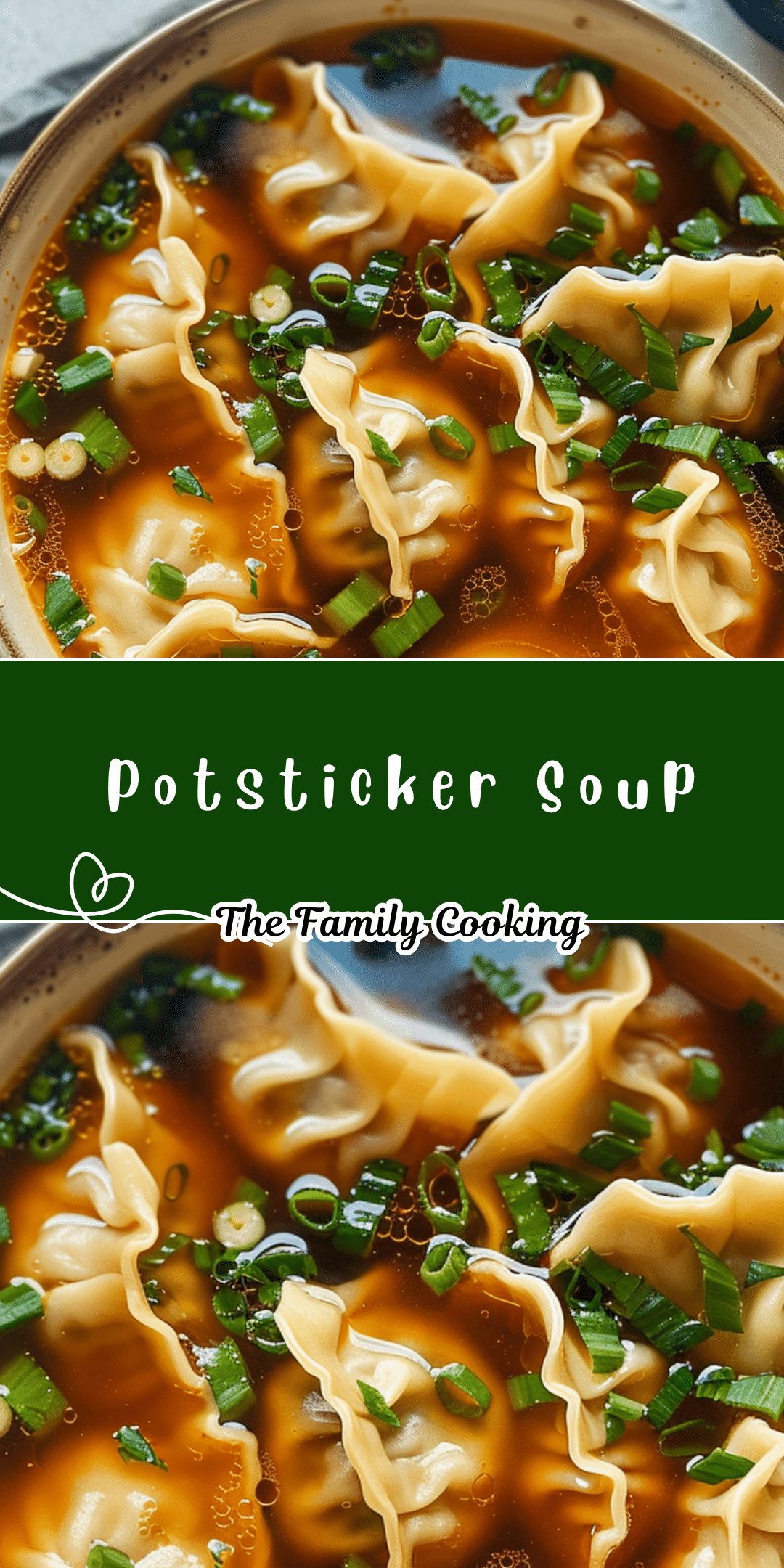 Potsticker Soup | TheFamilyCooking