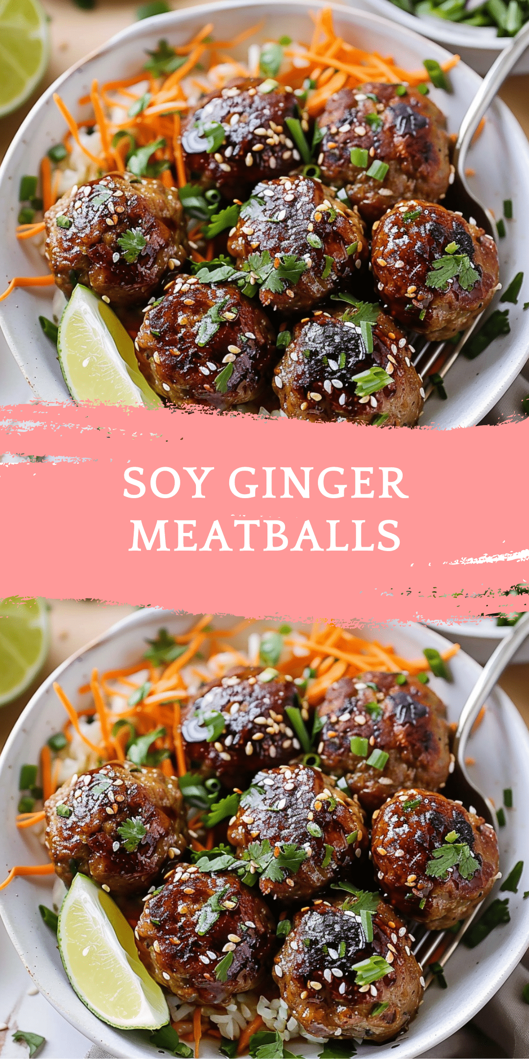 Soy Ginger Meatballs | TheFamilyCooking